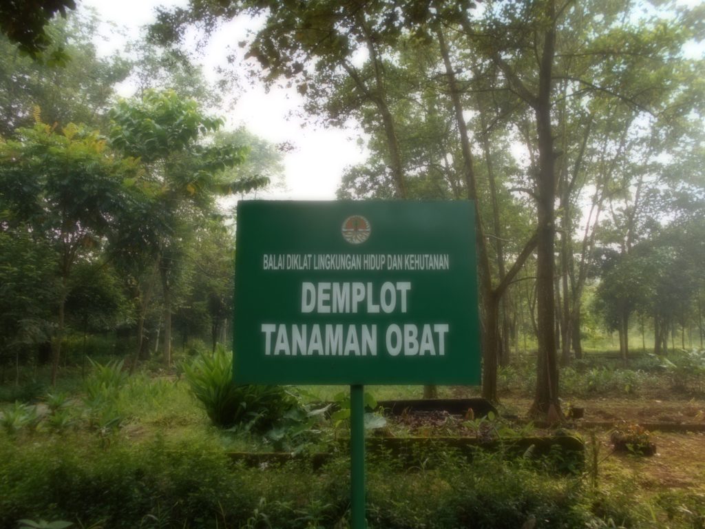 Demplot Tanaman Obat – BP2SDM Wilayah III Bogor