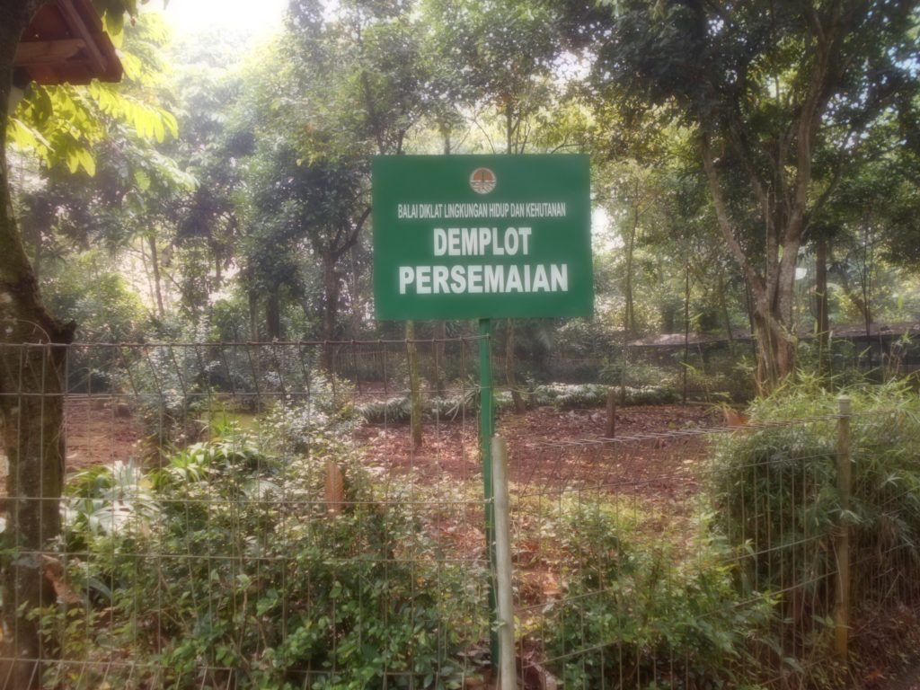 Demplot Persemaian – BP2SDM Wilayah III Bogor